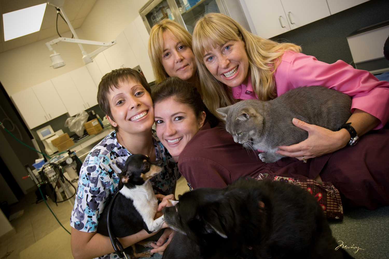The Animal Cancer Care Clinic Story: 20 Years of Providing HOPE, CARE ...